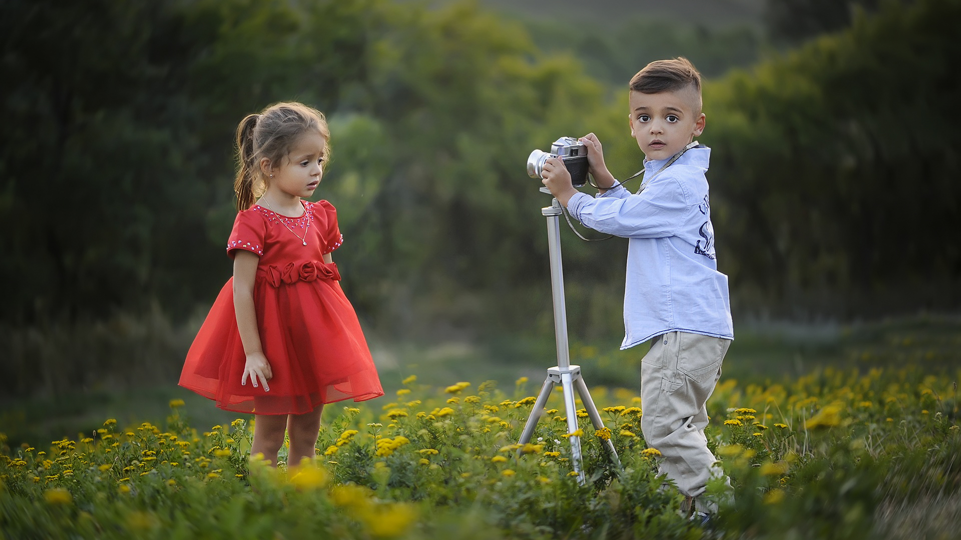 Create a custom vignette in Lightroom - Edit with Kim