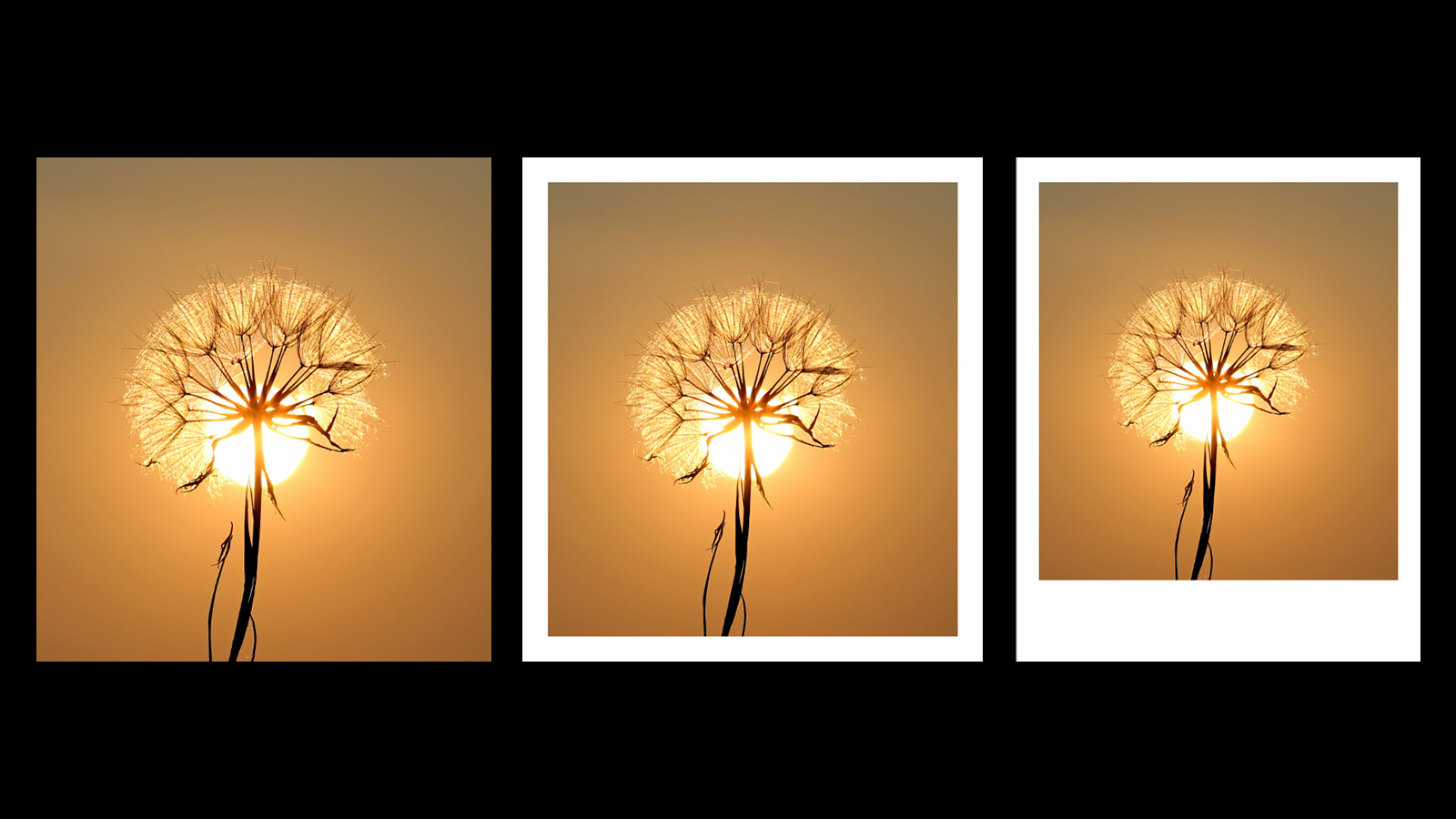 Add Borders To Your Photo In Photoshop Edit With Kim