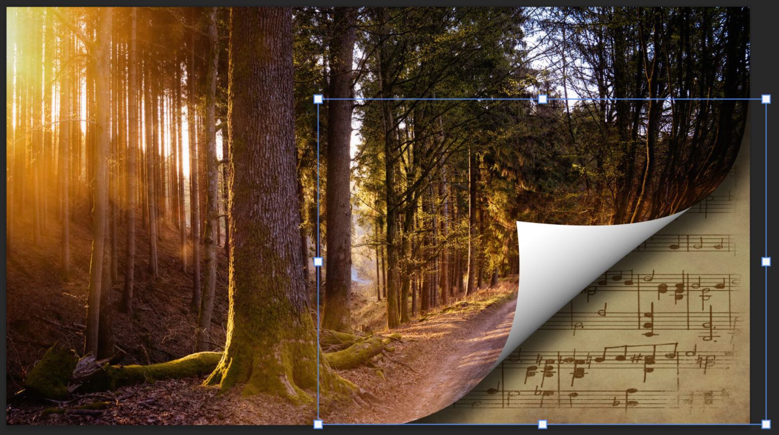 Create a page turn effect in Photoshop - Edit with Kim