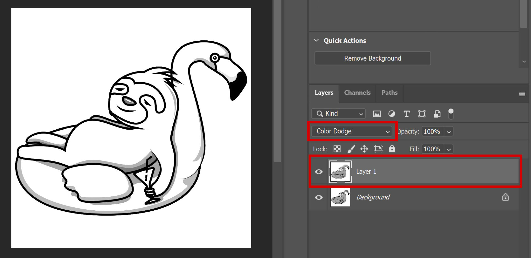 Convert image into outlines in Photoshop - Edit with Kim