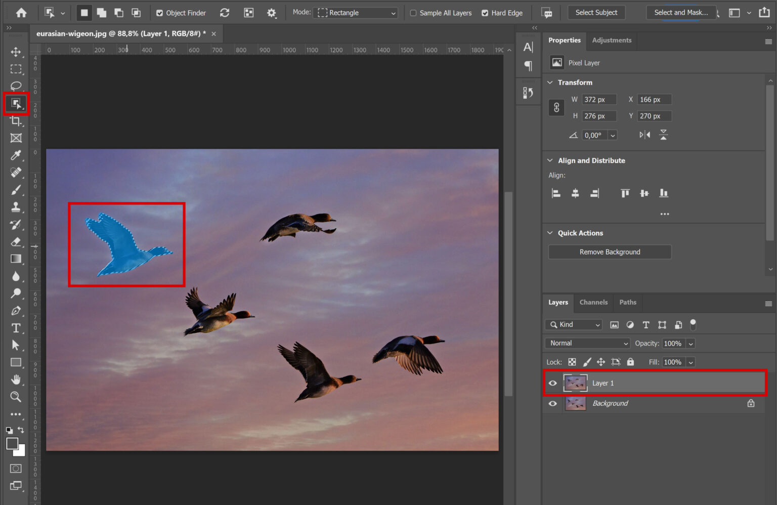 Move object or subject in Adobe Photoshop - Edit with Kim