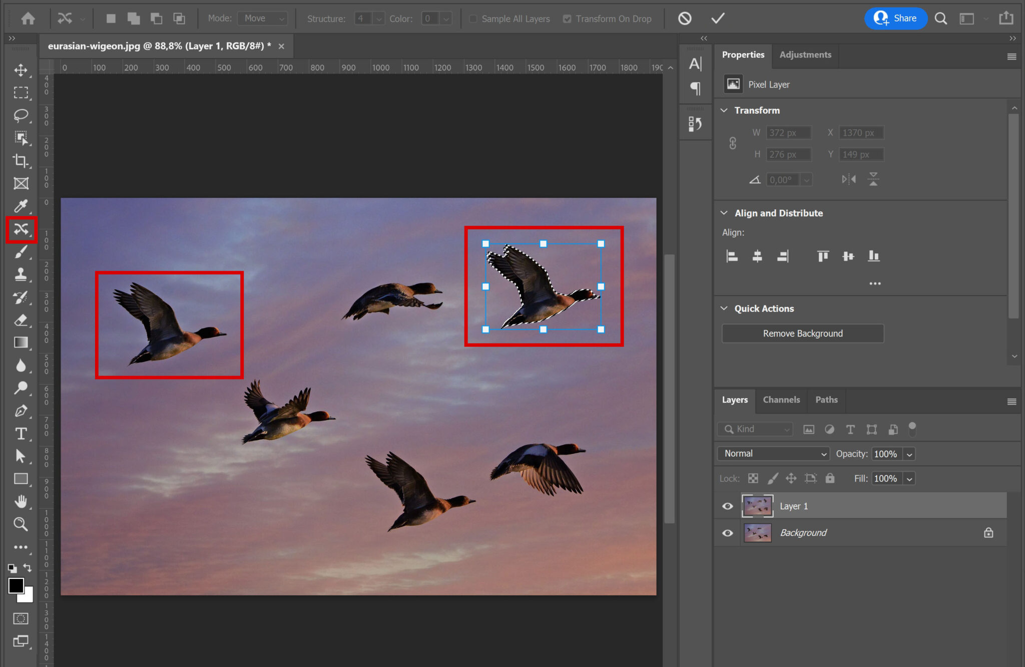 Move object or subject in Adobe Photoshop - Edit with Kim