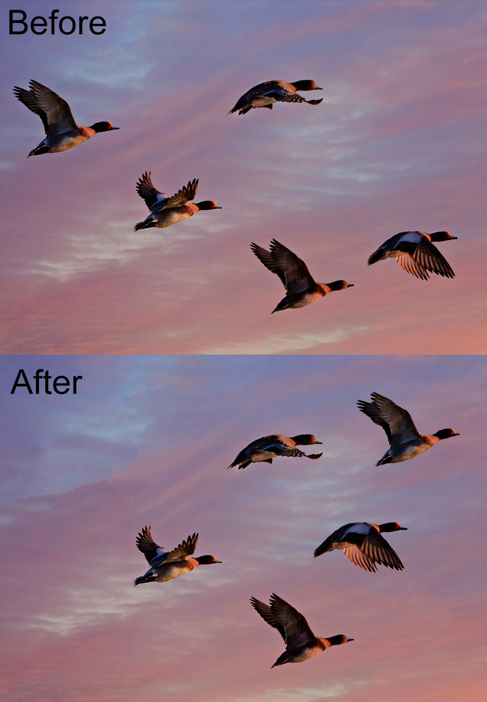 Move object or subject in Adobe Photoshop - Edit with Kim