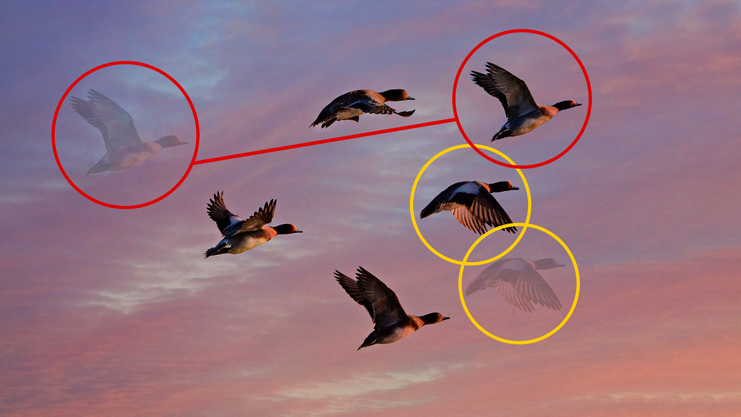 Move object or subject in Adobe Photoshop - Edit with Kim