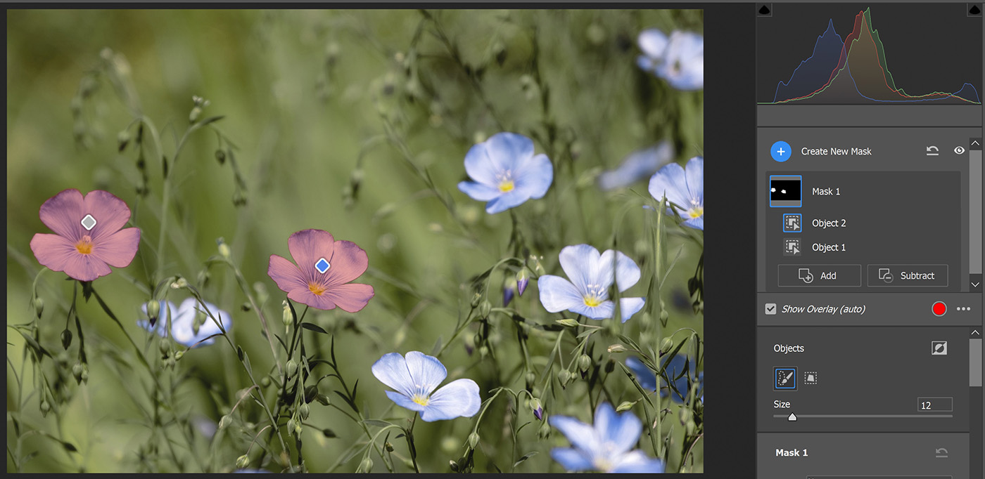 New way to mask objects in Camera Raw - Edit with Kim