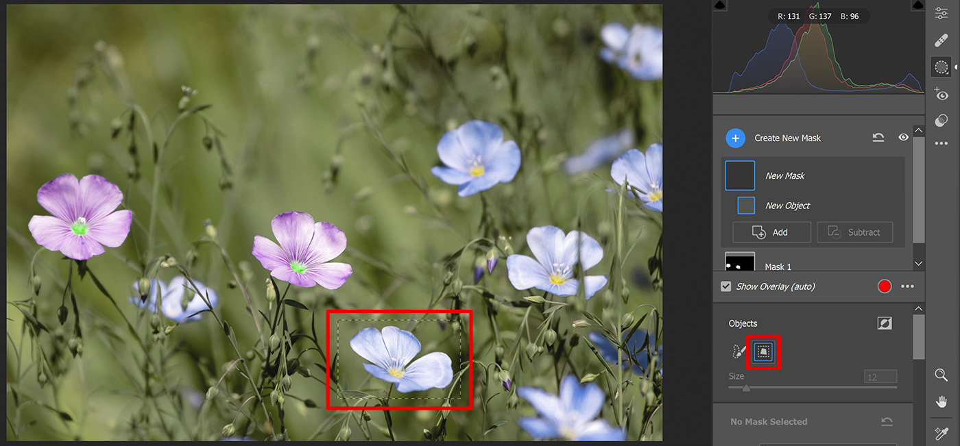 New way to mask objects in Camera Raw - Edit with Kim