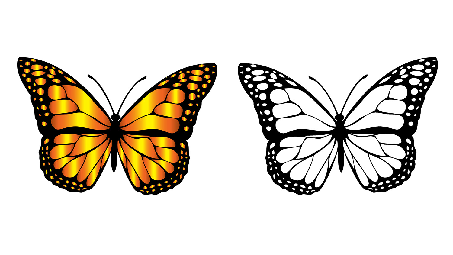 Convert image to outlines in Photoshop - Edit with Kim