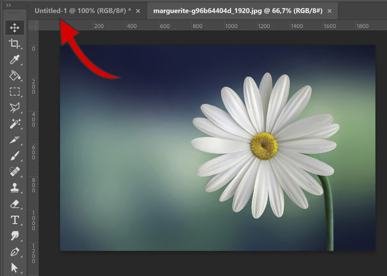 Photo in shape with outline in Photoshop - Edit with Kim