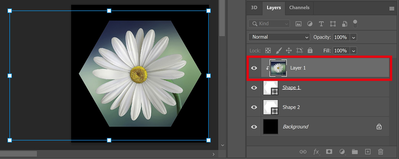Photo in shape with outline in Photoshop - Edit with Kim