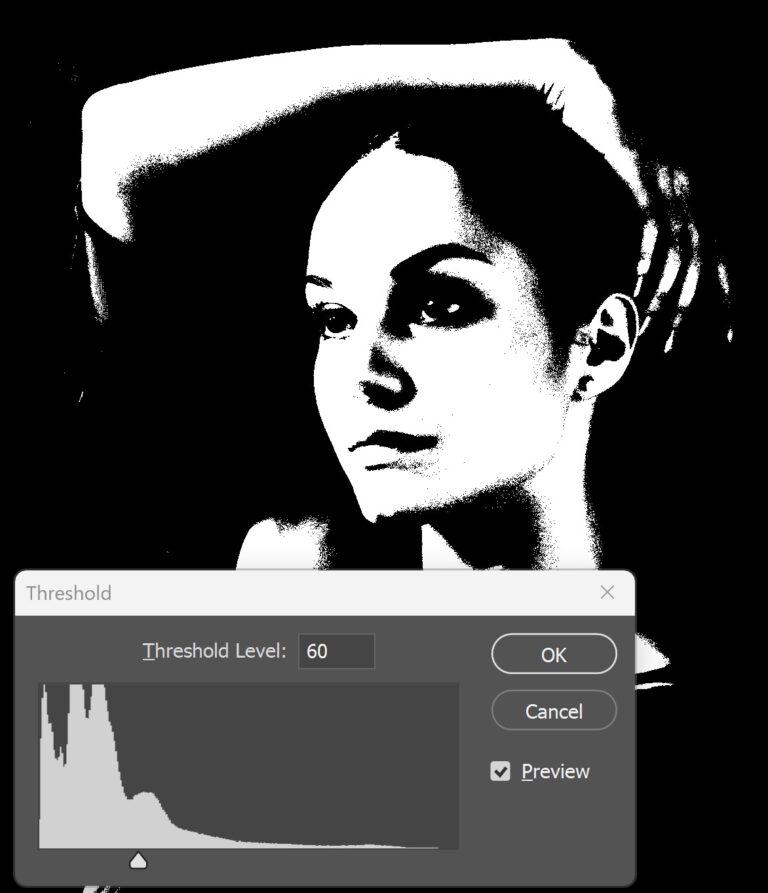Create a grainy (duotone) threshold portrait in Photoshop
