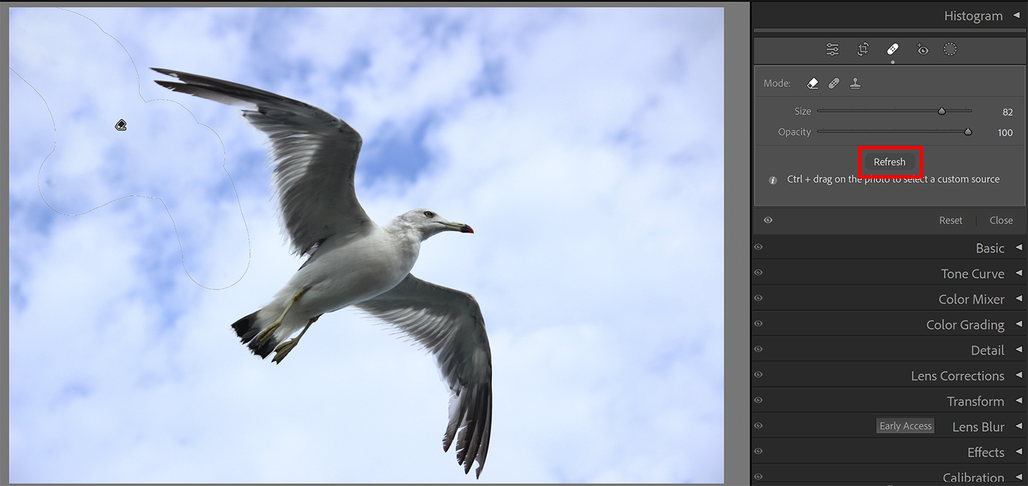 Remove something from a photo in Lightroom - Edit with Kim